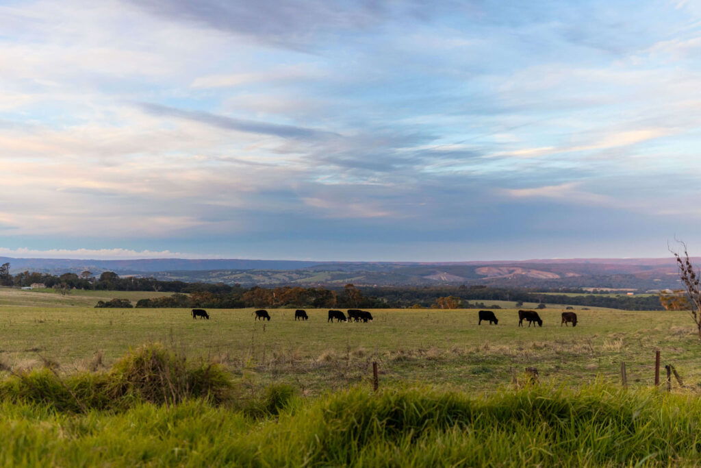 Updates - Evermore Estate