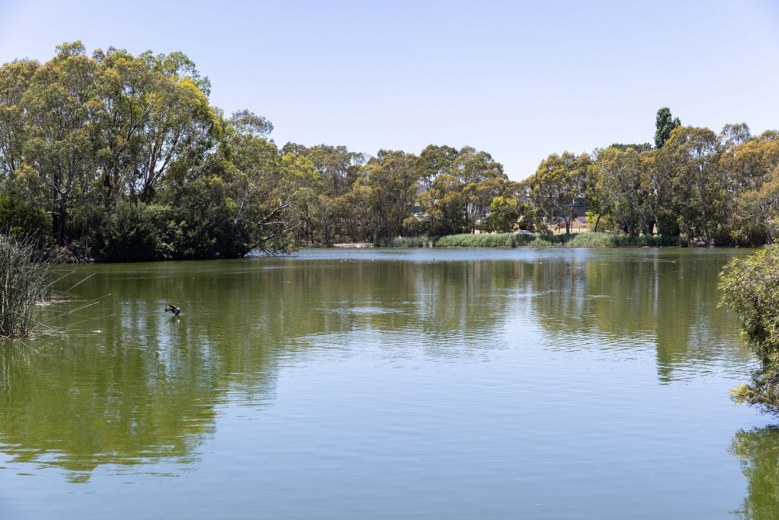 The Adelaide Hills Council 2025 Strategic Priorities | Nitschke Real Estate