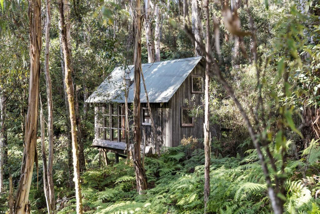 620 Bambra Cemetery Road, DEANS MARSH VIC 3235 - Oslo Property