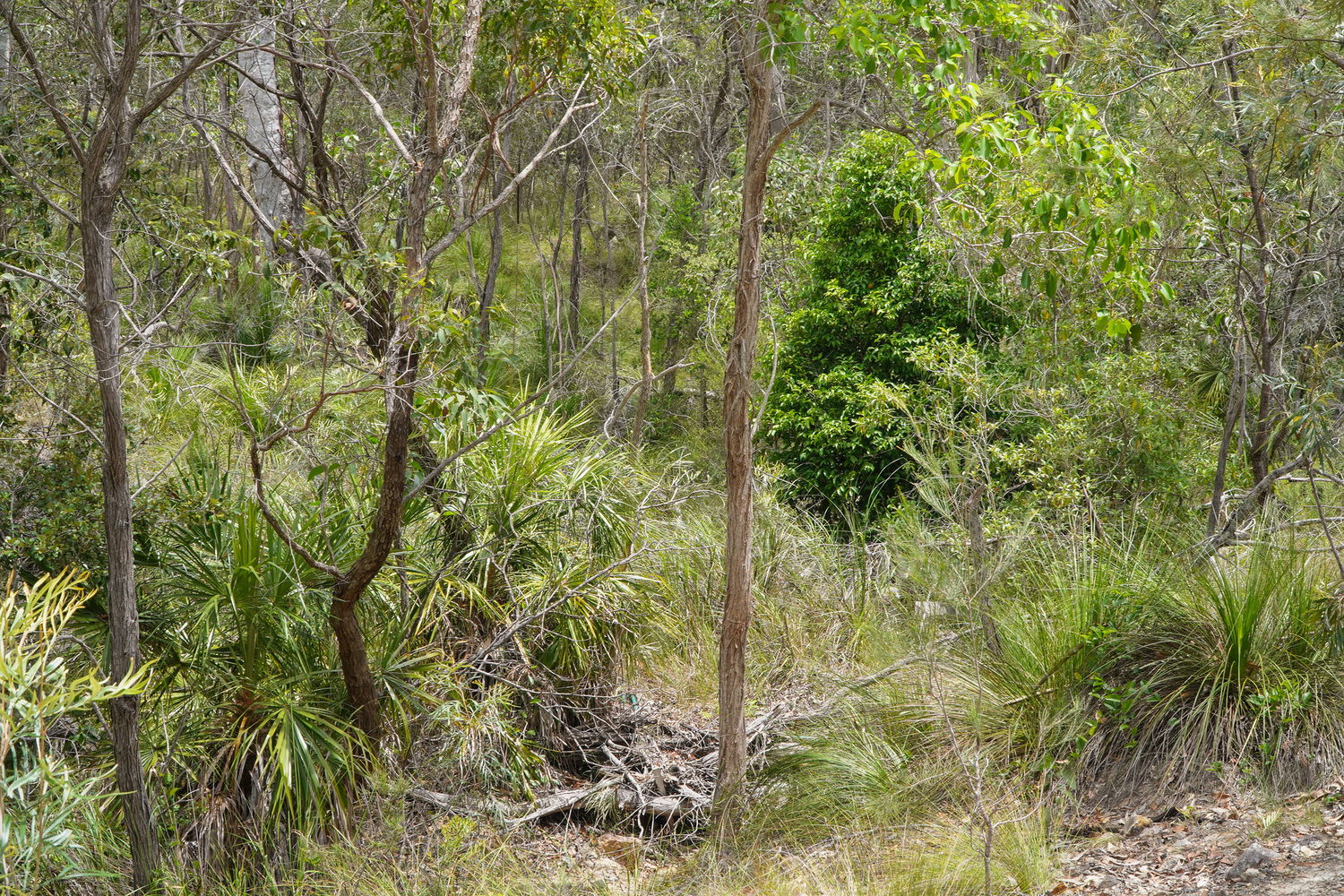 12 Moffett Court, Agnes Water QLD 4677 - McGrath Knight Frank Wide Bay ...