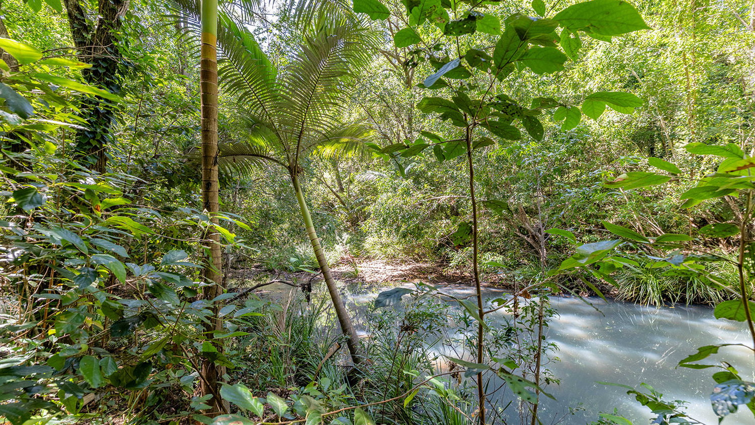 Creevey Drive, Captain Creek QLD 4677 - McGrath Knight Frank Wide Bay ...