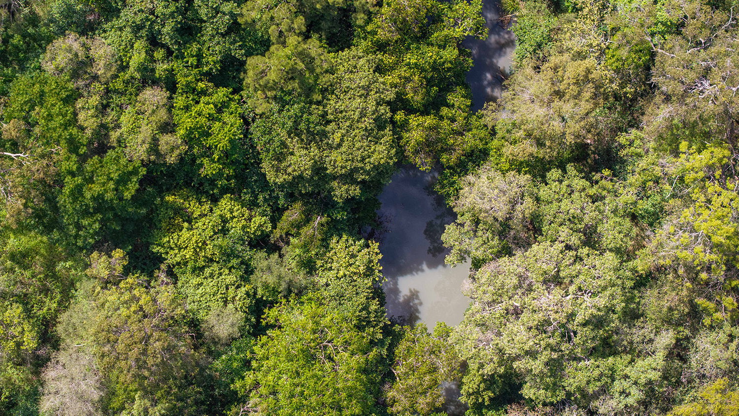 Creevey Drive, Captain Creek QLD 4677 - McGrath Knight Frank Wide Bay ...