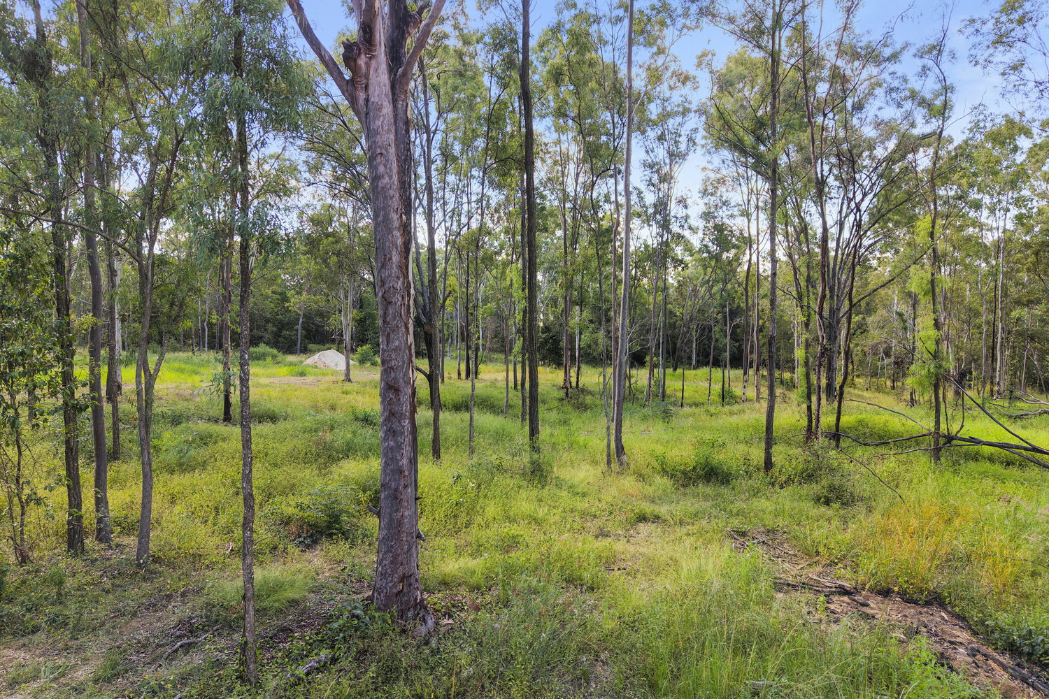 244 St Kilda Road, Tirroan QLD 4671 - McGrath Knight Frank Wide Bay ...