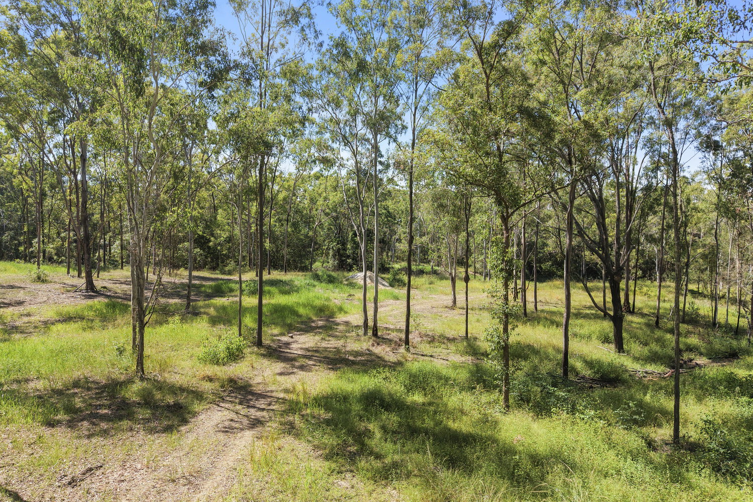 244 St Kilda Road, Tirroan QLD 4671 - McGrath Knight Frank Wide Bay ...